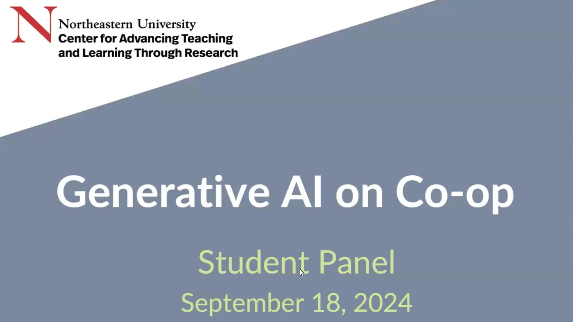 Panel of Northeastern Students (2024)